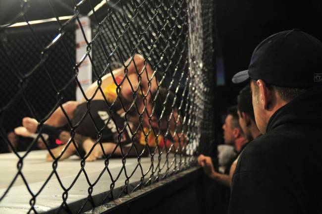 Power Fight Extreme retorna neste sábado, no Ginásio do Paraná Clube