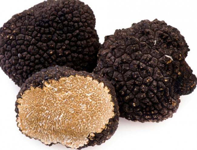 Prepare-se. Estão chegando as trufas negras no La Varenne