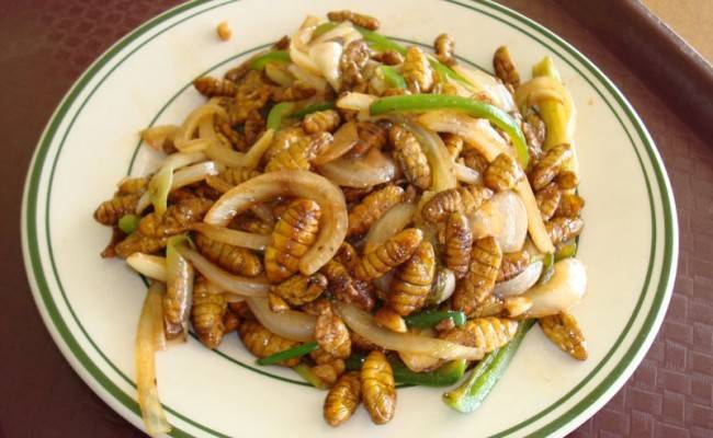 Insetos devem ser a comida do futuro, diz estudo