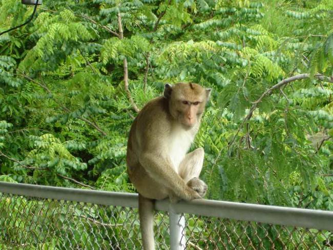 E aí, qual é o seu rótulo?