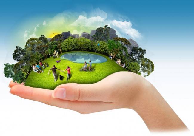 A Responsabilidade Ambiental E Social Do Cidadão Sustentável