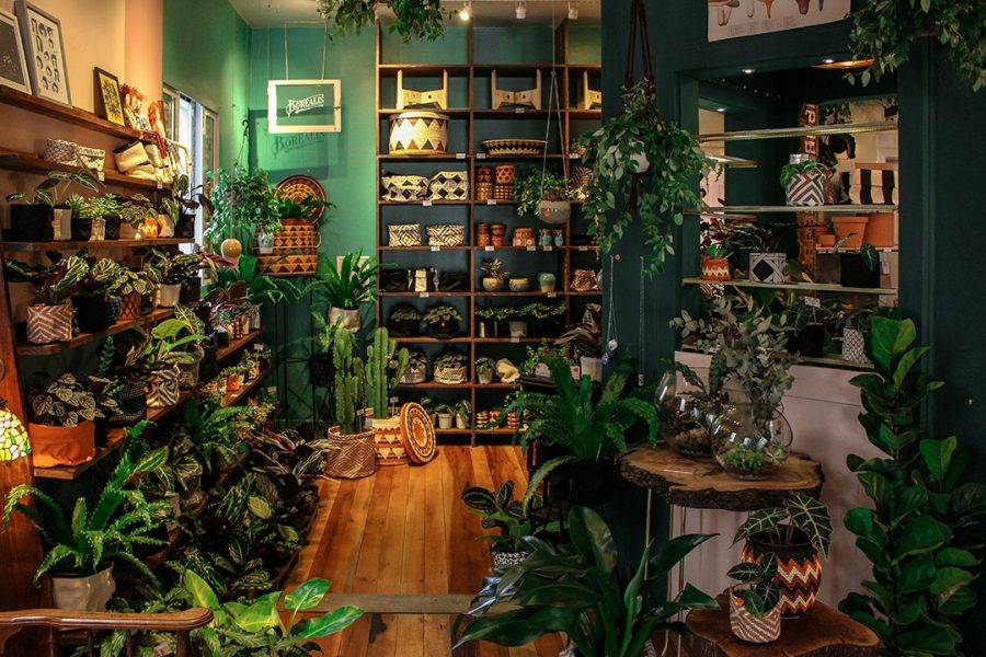 Botanique: Café, Bar e Plantas
